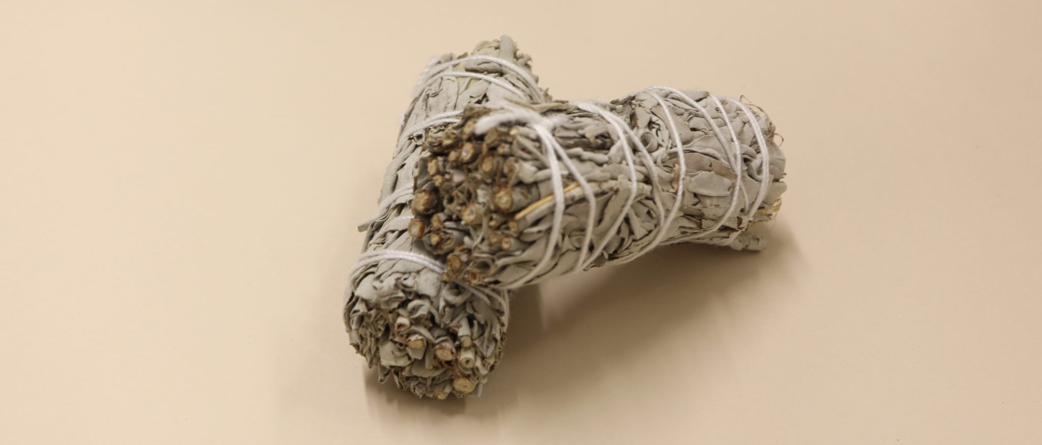 Bien-être : La sauge séchée | Les Herbes Folles